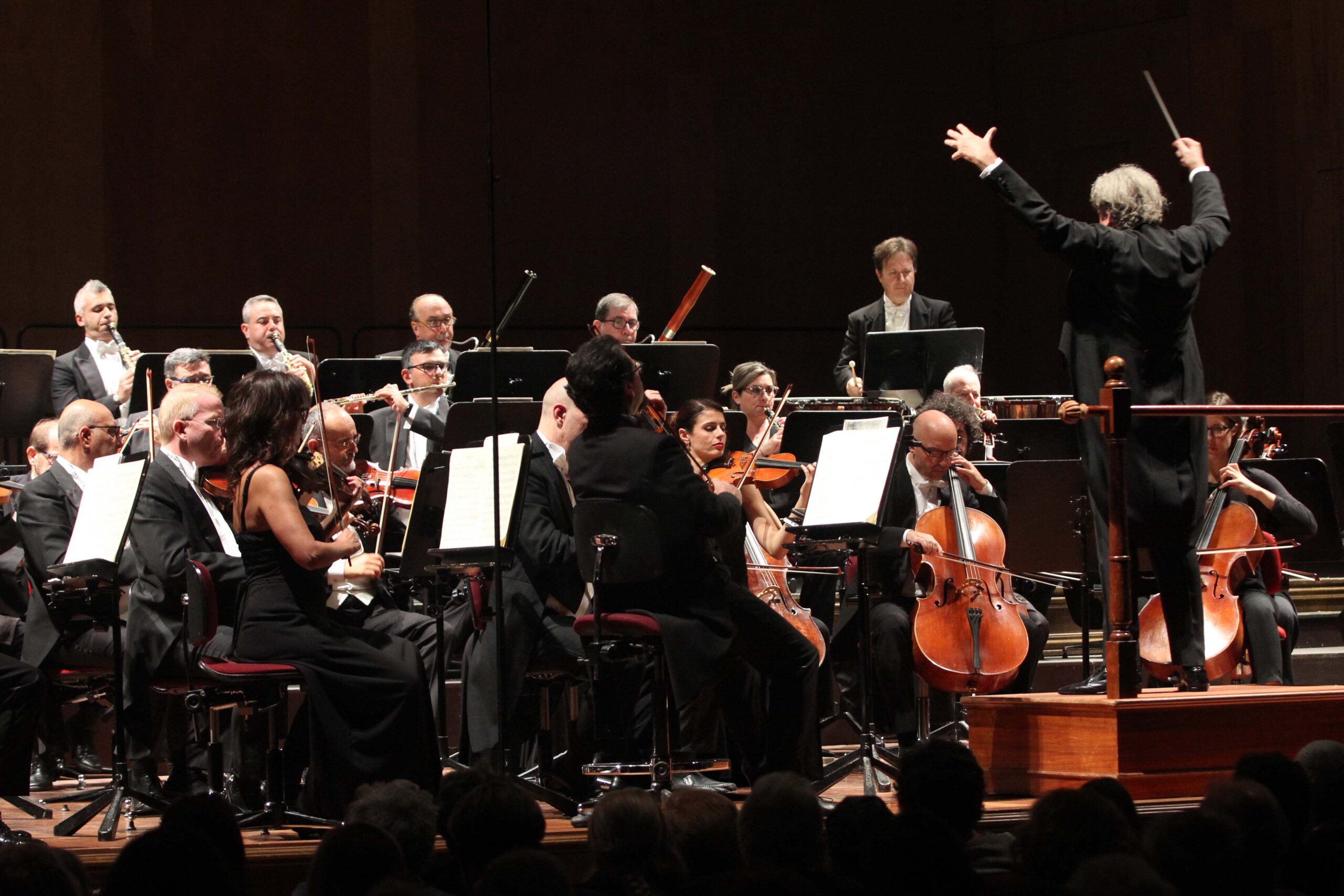 Images for the TVs e pictures from yesterday's concert - Teatro Massimo ...